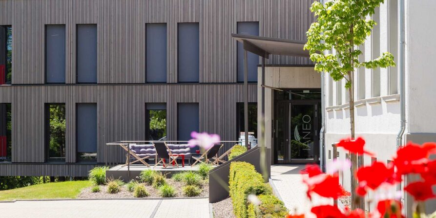 Über IANEO - Leistungen, Arbeitsweise & Unternehmenskultur